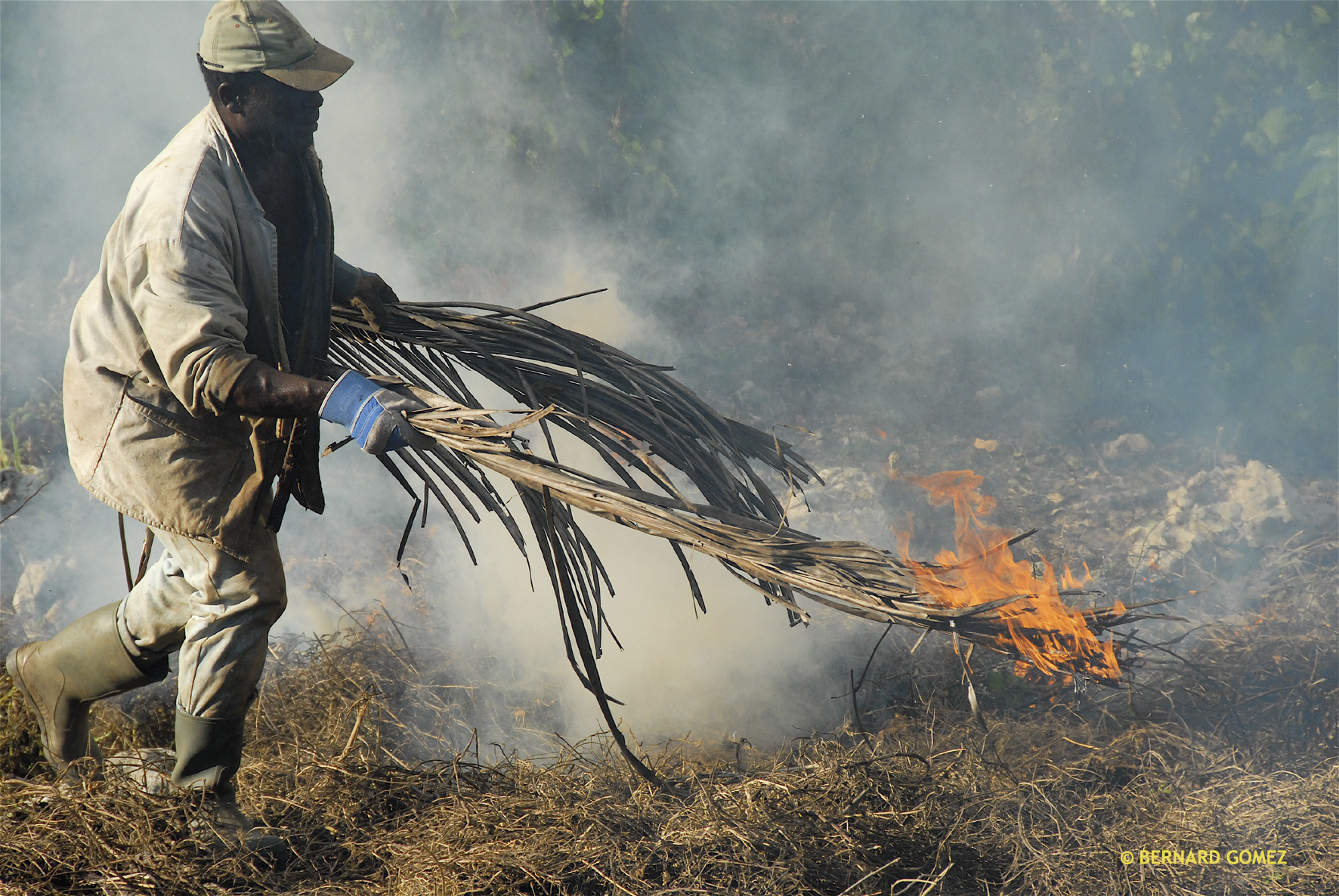 brûlis 2 copie - Vu d'ici